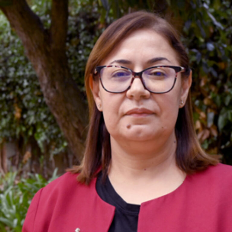 Structure of the Union for the Mediterranean - UfM