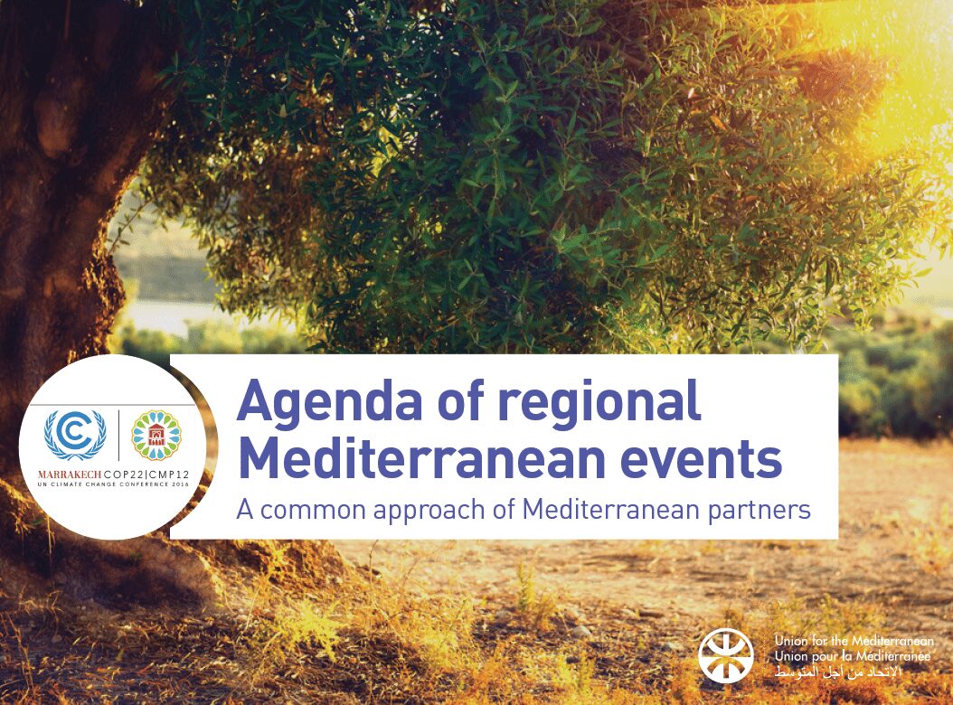 COP22 - High-level panel: Sustainable development and regional ...