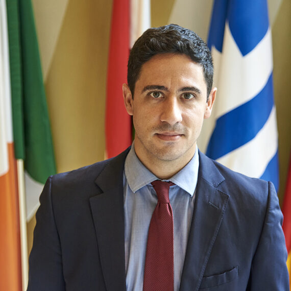 Structure of the Union for the Mediterranean - UfM