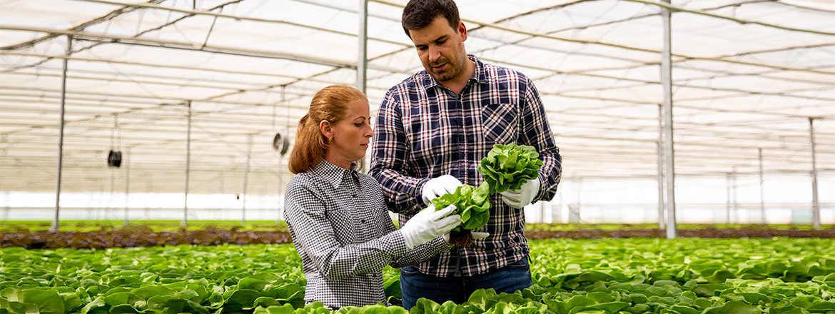 Interreg MED Green Growth community