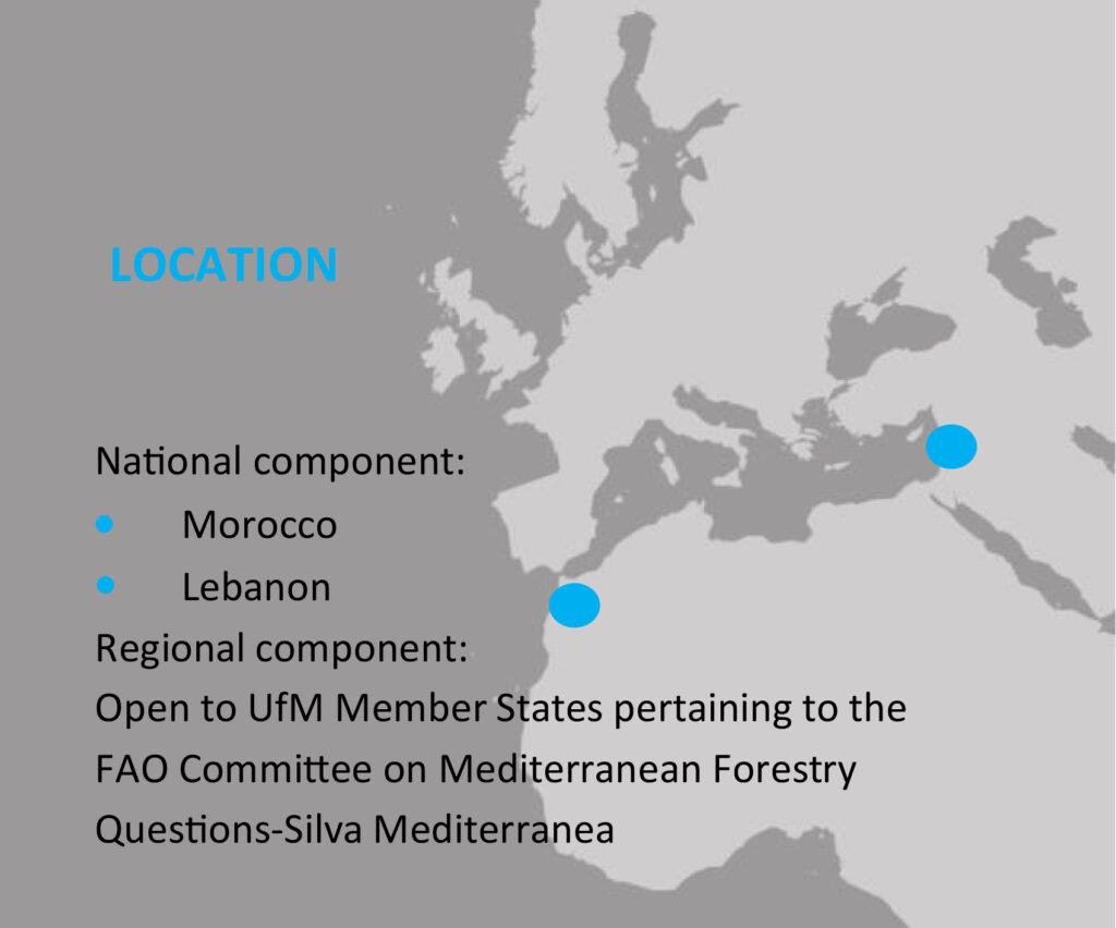 Scaling up forest and restoration to restore biodiversity in the ...
