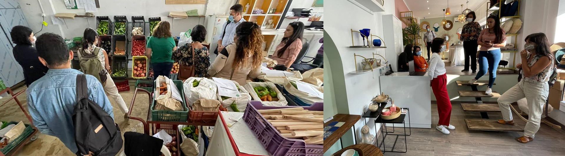 RISE – Resilience and Innovation through Strengthened Entrepreneurship