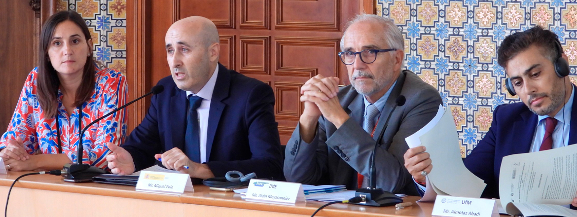 UfM brings together country representatives and regional stakeholders ...