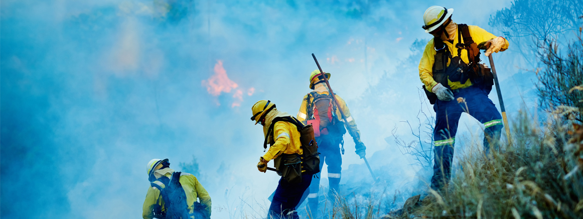 Civil Protection: Euro-Mediterranean partners launch regional programme ...