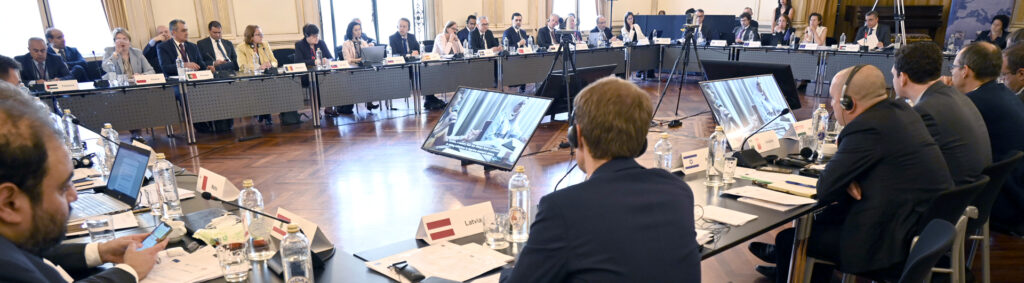 Political Framework of the Union for the Mediterranean - UfM