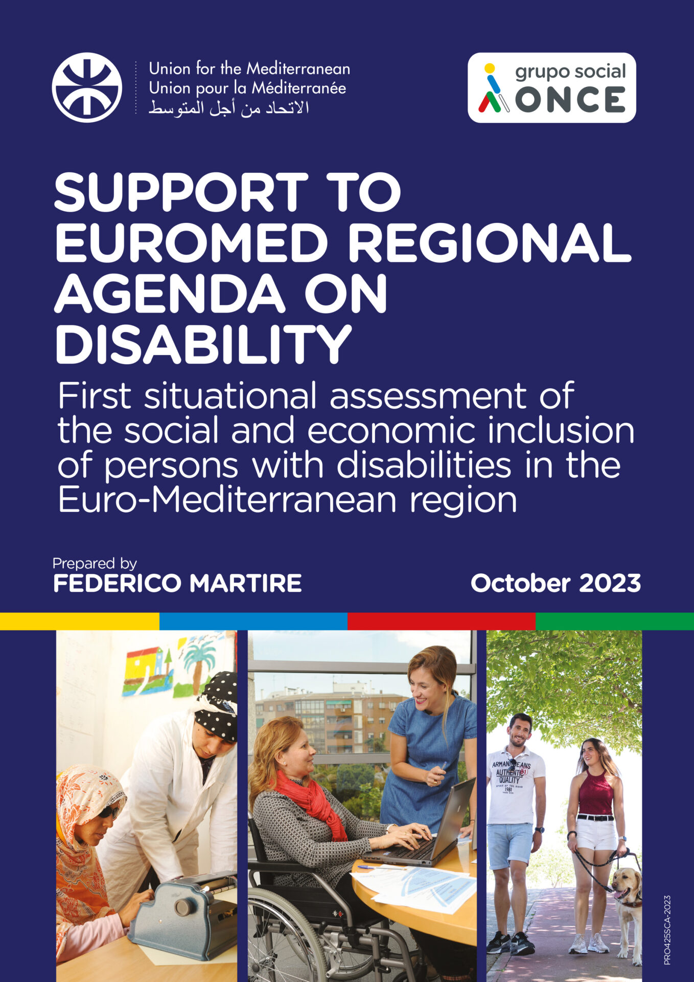 Support to Euromed Regional Agenda on Disability - First situational ...
