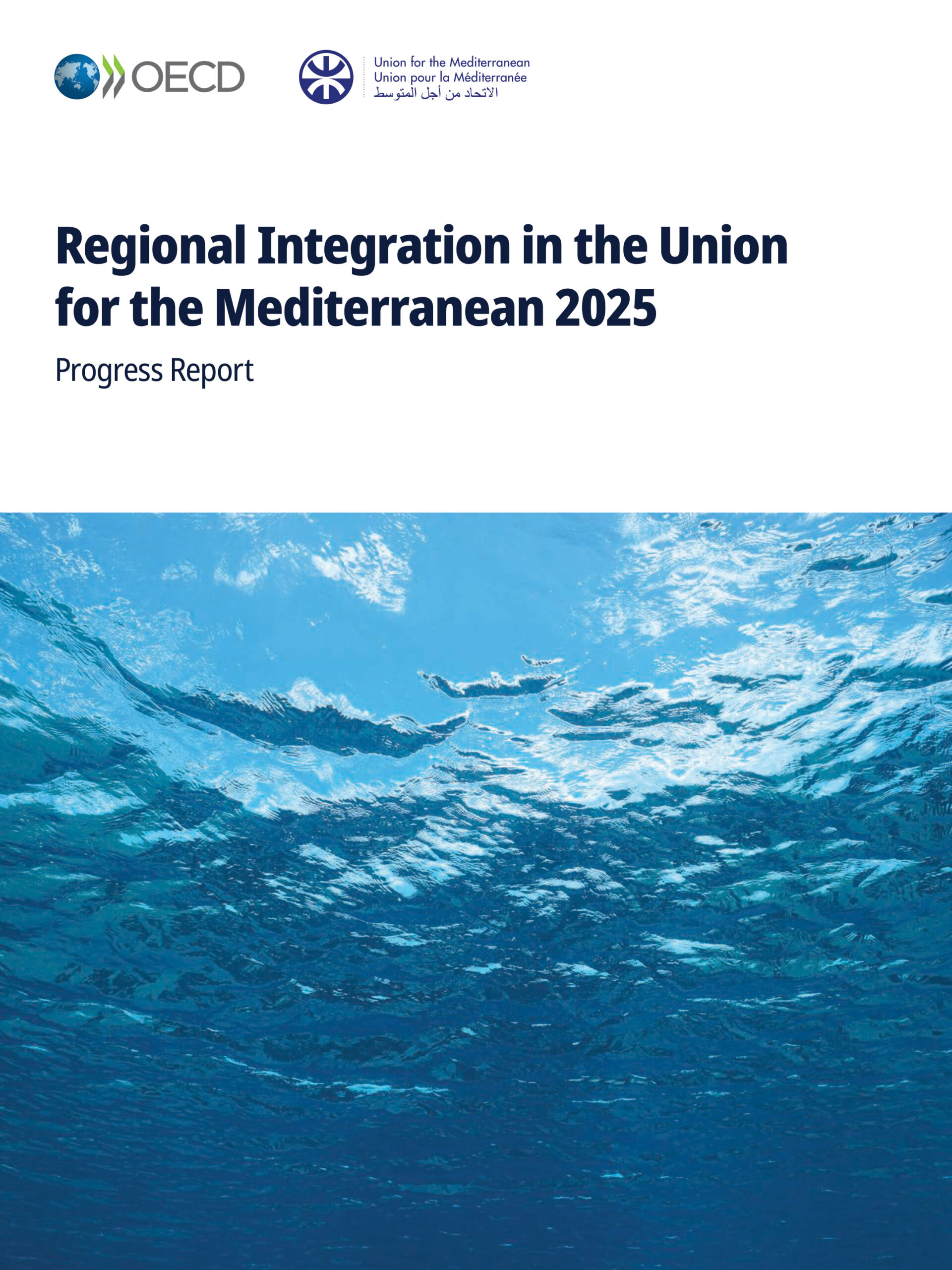 Regional Integration in the Union for the Mediterranean 2025: Progress ...