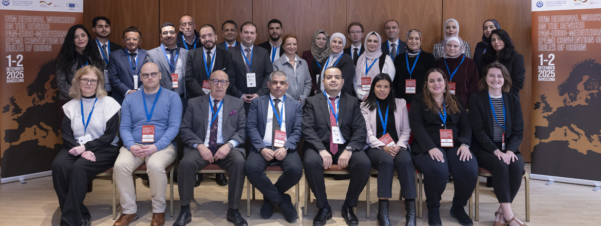 Workshop on the revised Regional Convention on pan-Euro-Mediterranean ...
