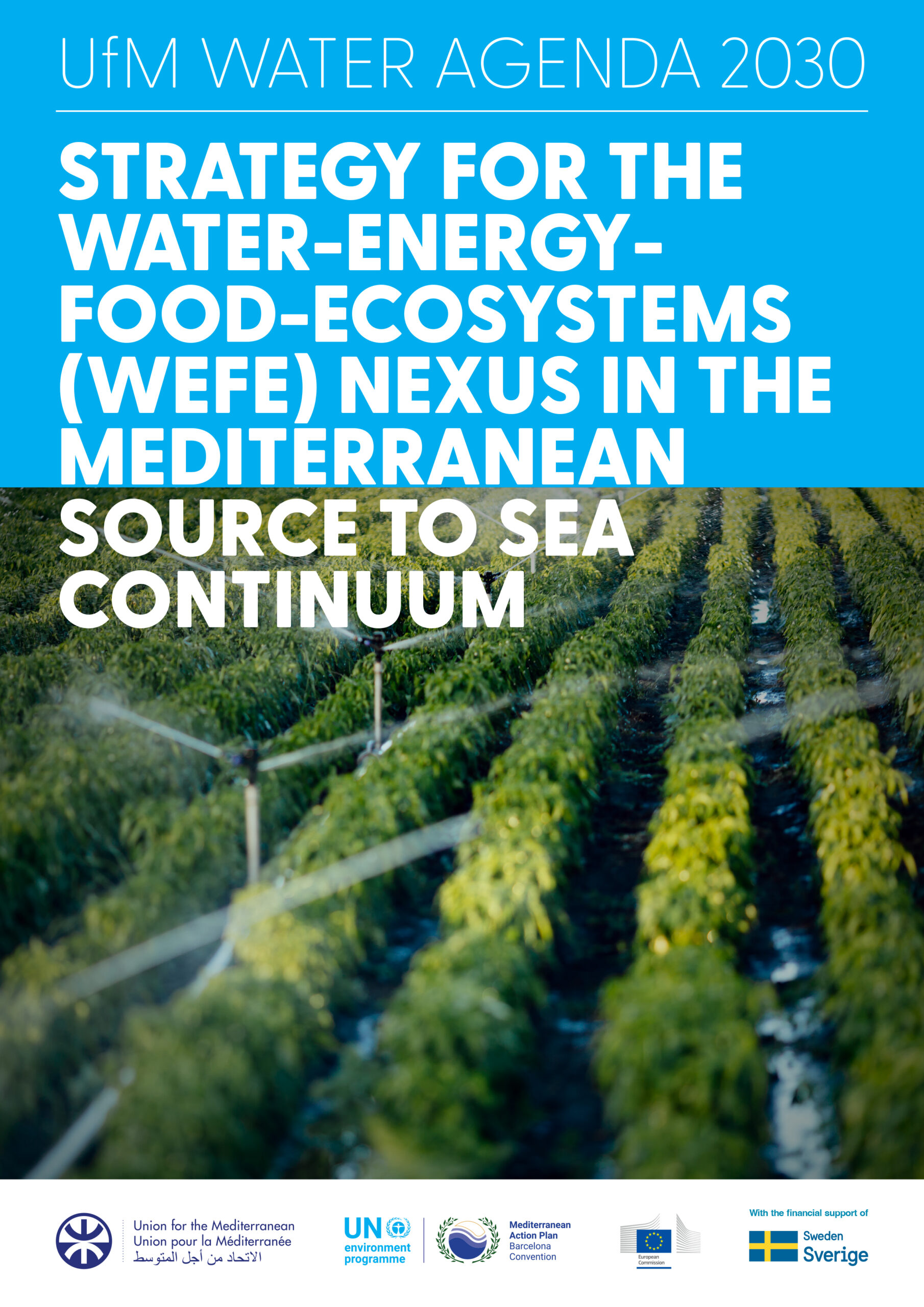 Water-Energy-Food-Ecosystems (WEFE) Nexus Strategy in the Mediterranean ...