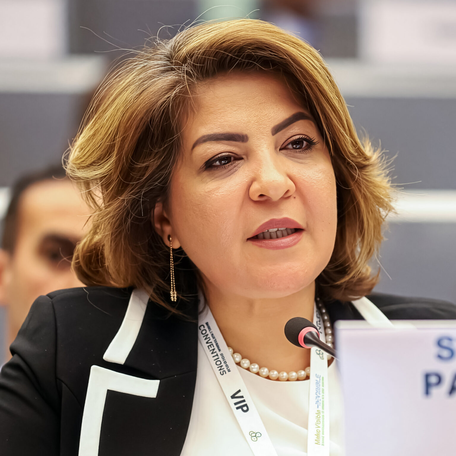 Sustainable Development - Union for the Mediterranean - UfM